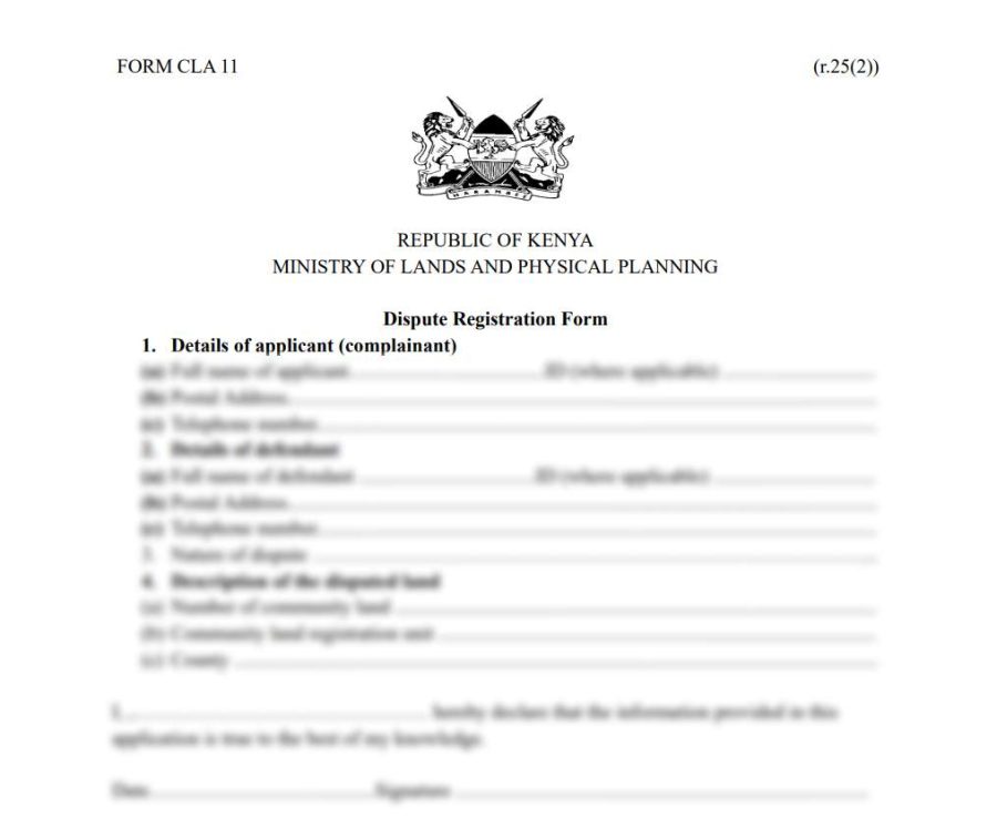 Dispute Registration Form